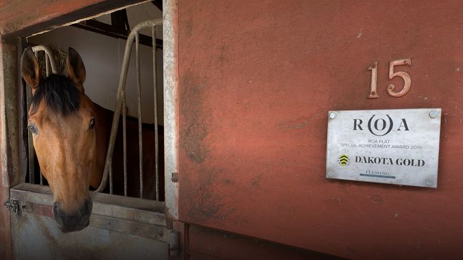 Michael Dods stable tour 2024 Flat season including Azure Blue and ...