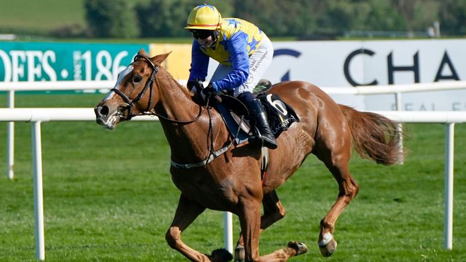 Bambino Fever opens her account over hurdles at Fairyhouse