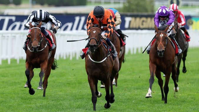 Horses to follow: Trackside Live team with horses for My Stable