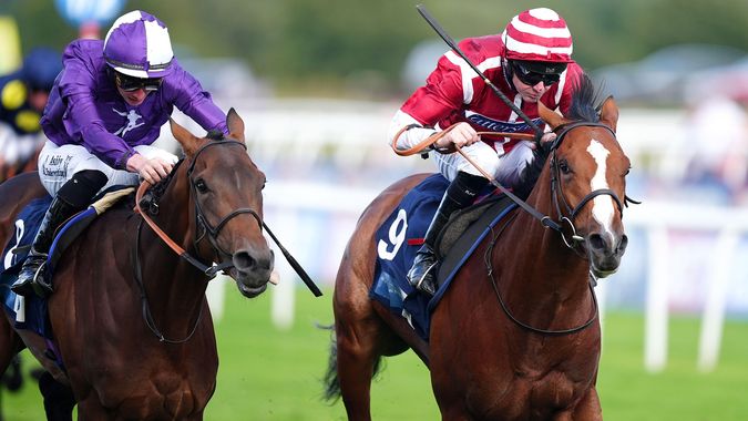Horses to follow: Trackside Live team with horses for My Stable