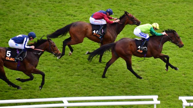 Jack Channon Stable Tour: Guide to his 2025 team