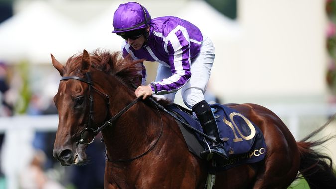 Trackside Live from Royal Ascot: parade ring updates and selections