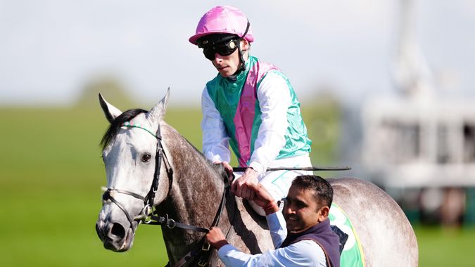 Barry Mahon on Juddmonte plans for Guineas colts Jonquil, Field Of Gold ...