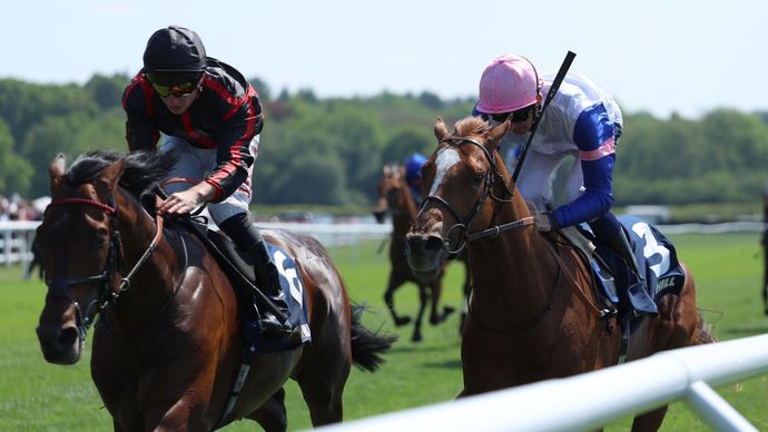 Betfred Derby Festival gallops morning | Ralph Beckett aims Bay Of ...
