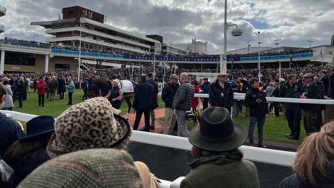 App users: Please use Sporting Life website for race replays due to ...