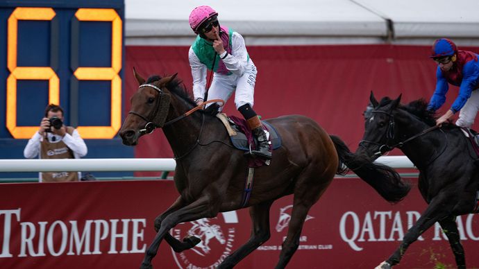 Prix de l'Arc de Triomphe report and reaction: Bluestocking wins for ...