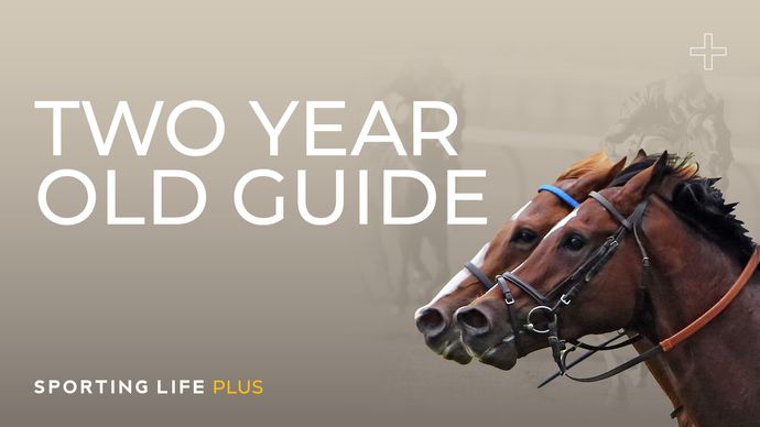Dan Briden Two-Year-Old Guide: Richard Brown