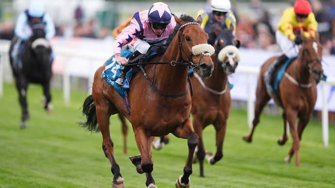 Live racing blog: Trackside Live updates from the Dante Festival at York