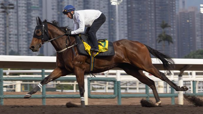 Hong Kong preview: Graham Cunningham thoughts from Sha Tin