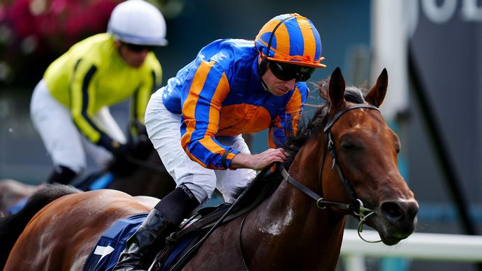 Aidan O'Brien Derby and Oaks runners: His guide to the team