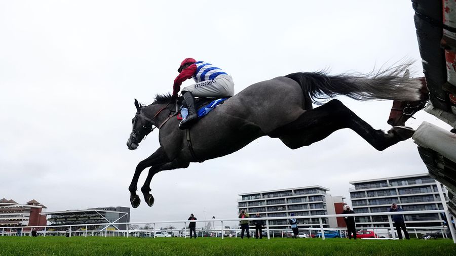 Live racing blog recap: Trackside Live from Challow Hurdle day at Newbury