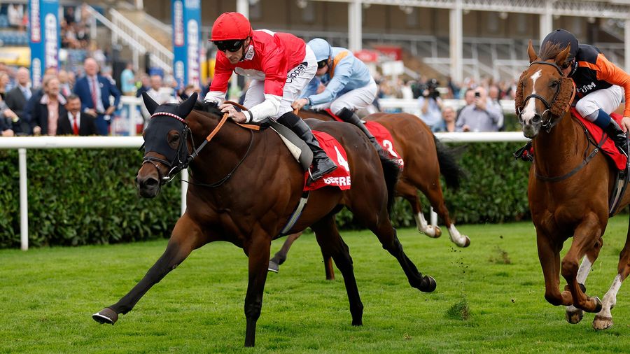 Dan Briden Two-Year-Old Guide: Tom Clover