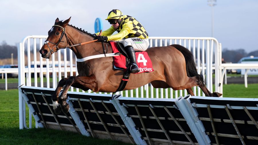Nicky Henderson update on Sir Gino injury from Festival Trials Day