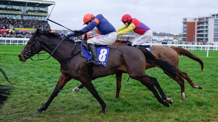 Dan Skelton Stable Tour: 2024/25 National Hunt Season Preview