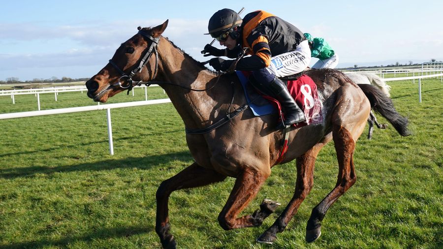 Willie Mullins Grand Natioinal runners: Exclusive guide
