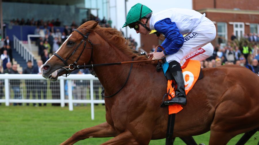 Live racing blog: Trackside Live updates from Lockinge day at Newbury
