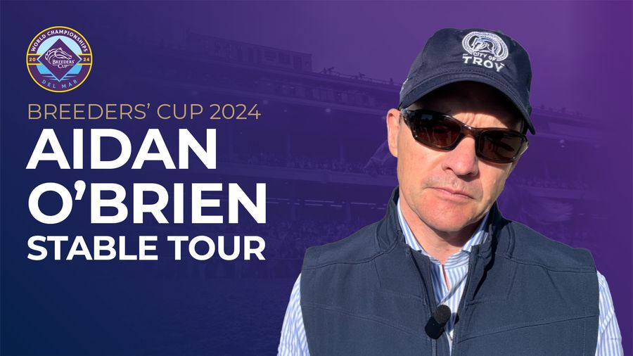 Aidan O'Brien Breeders' Cup 2024 stable tour from City Of Troy to Wingspan