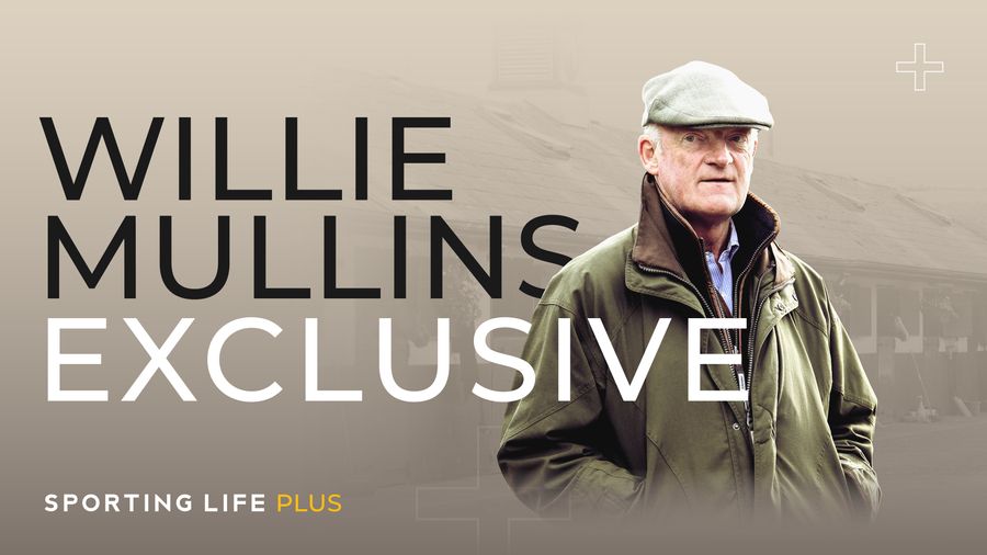 Willie Mullins Boxing Day runners: Horse-by-horse guide to his team