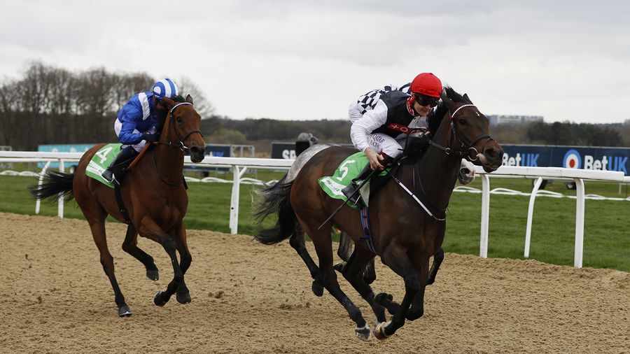 All Weather Championships Final day review from Newcastle