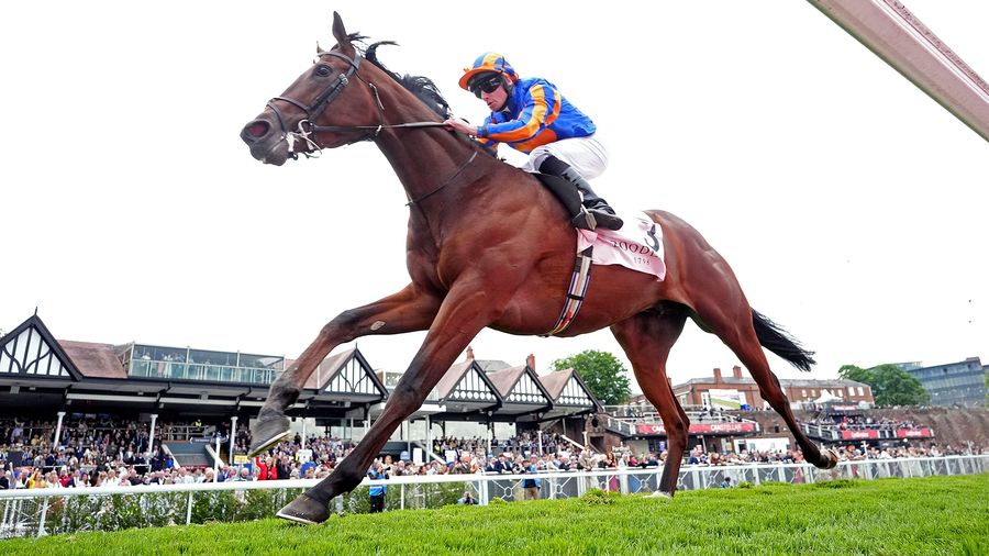 Constitution River confirmed for Chantilly and will run in Sunday's ...