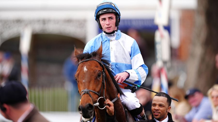 Rossa Ryan interview | 'Everything is right' for Pride Of Arras chance ...