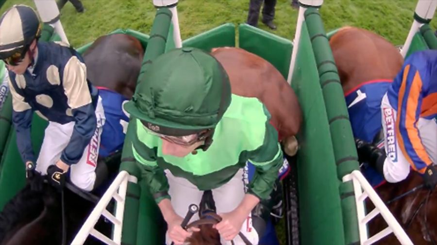 BHA insist declaring Benvenuto Cellini Derby non-runner was correct