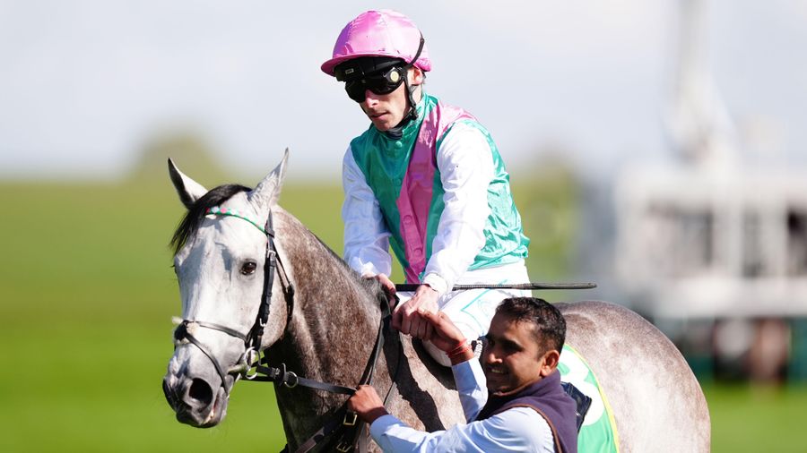 Barry Mahon on Juddmonte plans for Guineas colts Jonquil, Field Of Gold ...
