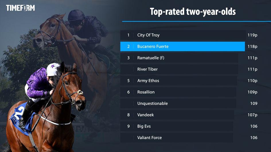 Timeform analysis on Diego Velazquez, Bucanero Fuerte and Fallen Angel