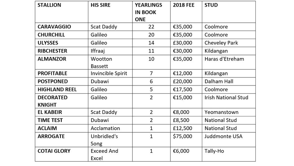 Cassie Tully on the Freshman sires represented at Tattersalls Book One