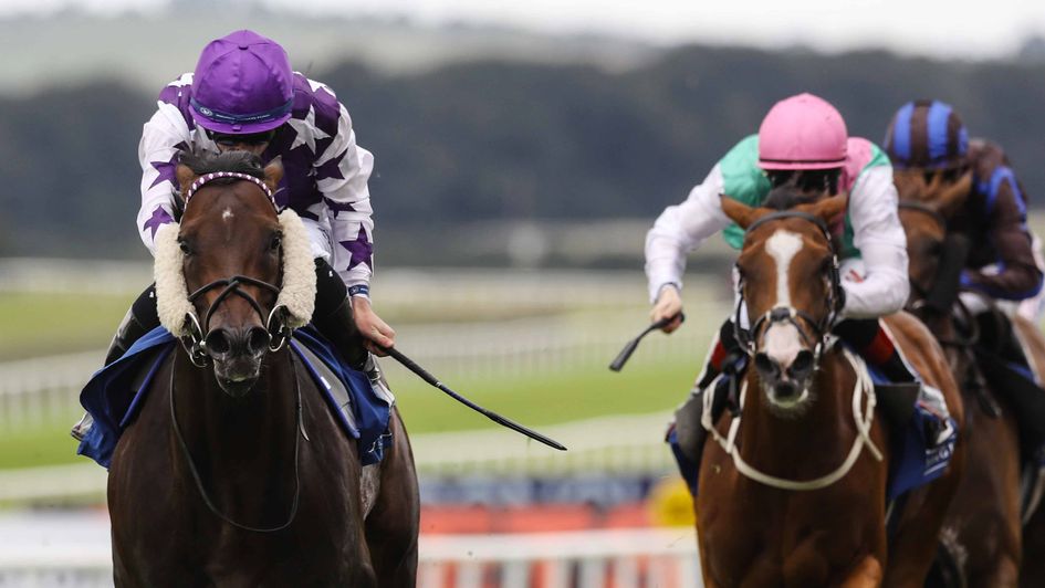 Curragh Saturday review: Go Bears Go battles to victory