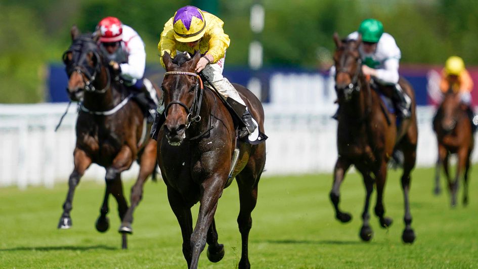 William Haggas aiming for memorable winner in Lester Piggott Stakes at ...