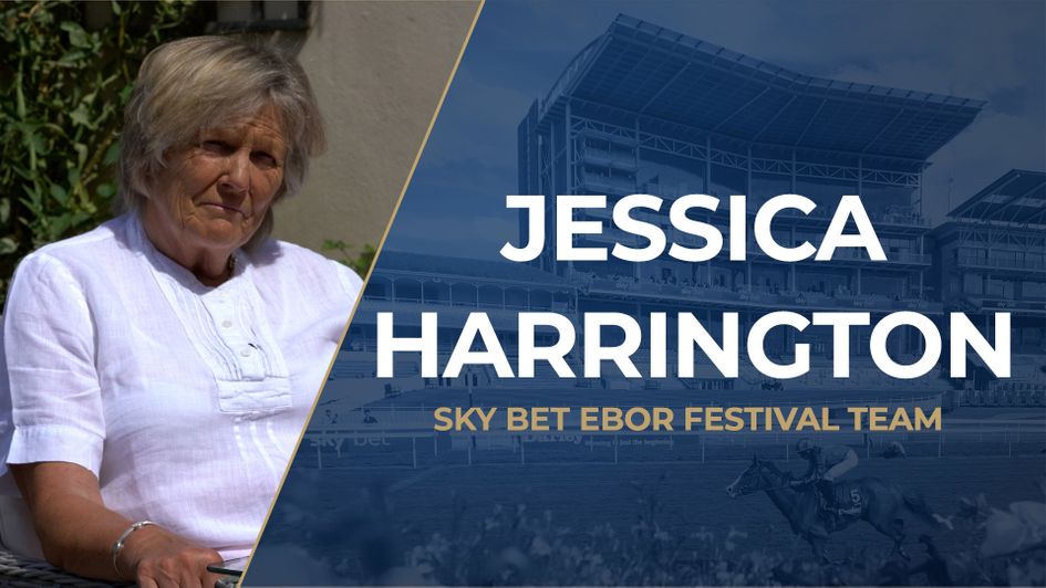 WATCH: Jessica Harrington on Sky Bet Ebor Festival team including ...