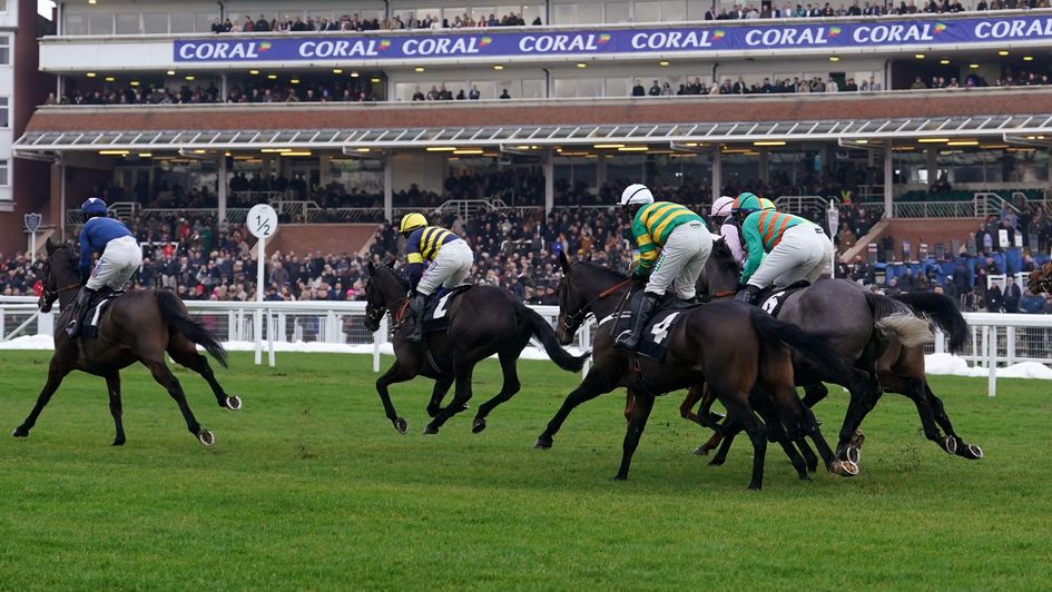 Newbury Paddock Notes including Hermes Allen and Jeriko Du Reponet