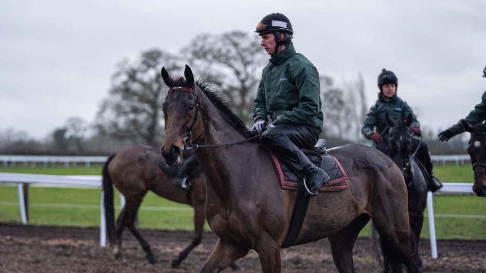 Noble Yeats on track in bid to become third horse to win Gold Cup and ...