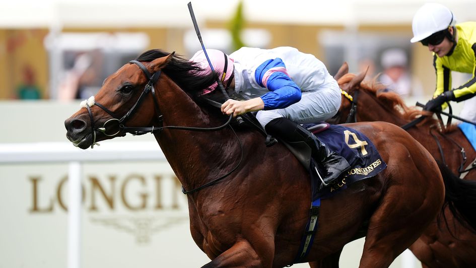 Limestone won the Queen's Vase at Royal Ascot | report, reaction & replay