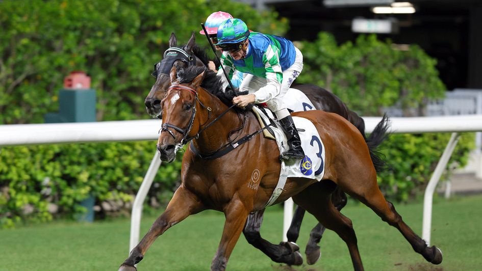 Free betting tips for Sha Tin | The Hong Kong File