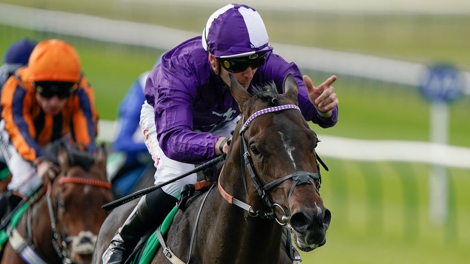 Royal Ascot news: Indestructible bound for St James's Palace Stakes