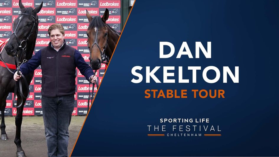 WATCH: Dan Skelton stable tour ahead of 2022 Cheltenham Festival ...