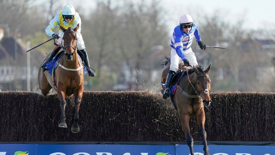Pic D'Orhy notches deadly dozen for Paul Nicholls in the Pendil