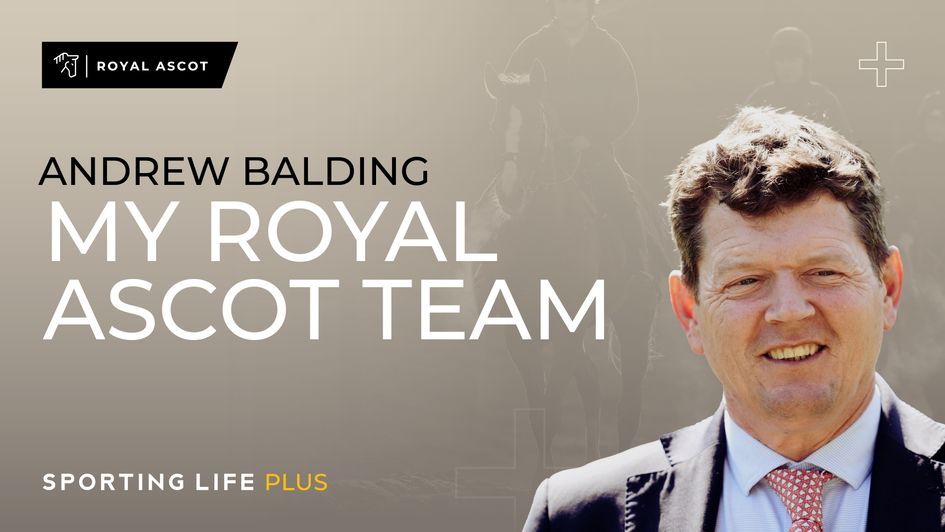 Andrew Balding Royal Ascot Stable Tour: Kalpana and See The Fire lead ...