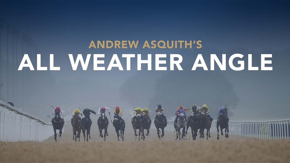 All-Weather racing tips, news and tracker horses
