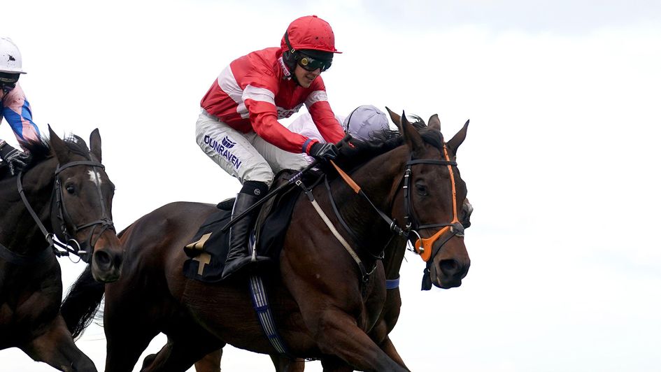 Crambo proving popular as favourite for Saturday's Long Walk Hurdle