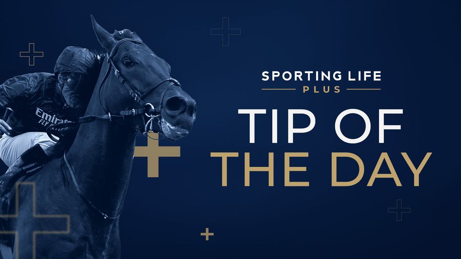 Unraced two-year-olds to follow: Dan Briden guide