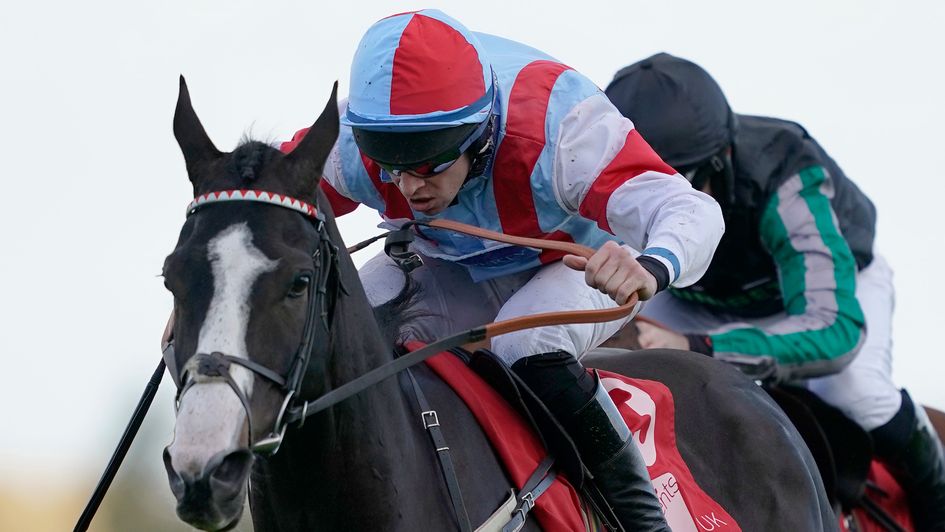 Gavin Sheehan hit with 14-day ban at Newbury