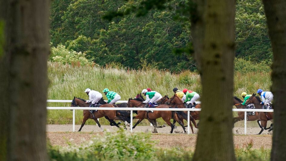 Timeform Hot Races and horses to note