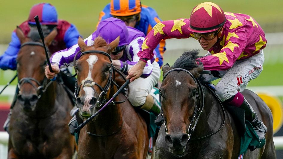 Breeding analysis: Al Riffa huge winner for Wootton Basset