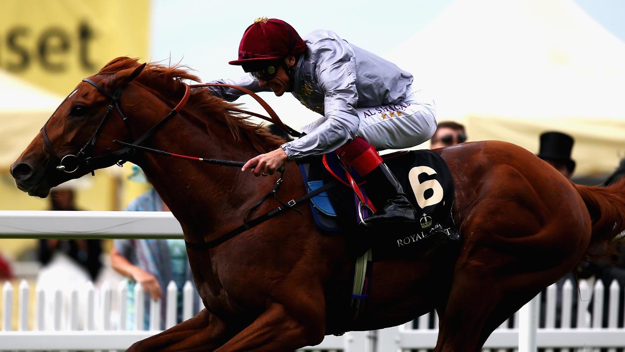 Hugo Palmer Flat season stable tour