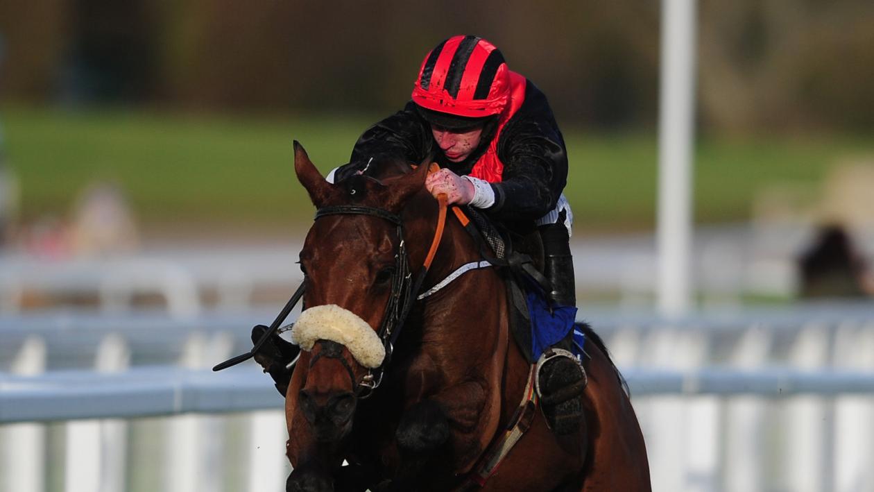 Peter Fahey Stable Tour including Peregrine Run