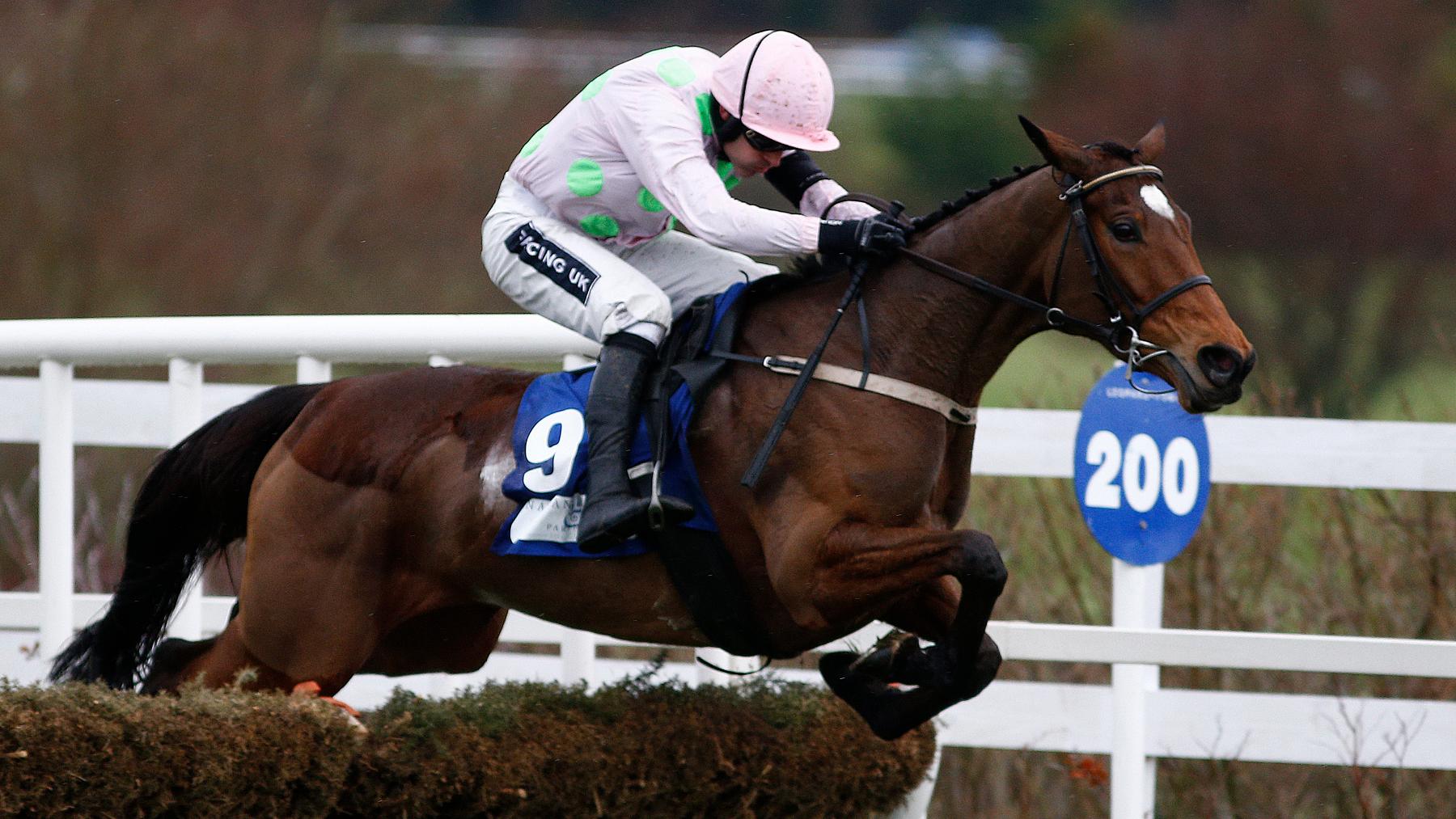 Lydia Hislop's Road to Cheltenham
