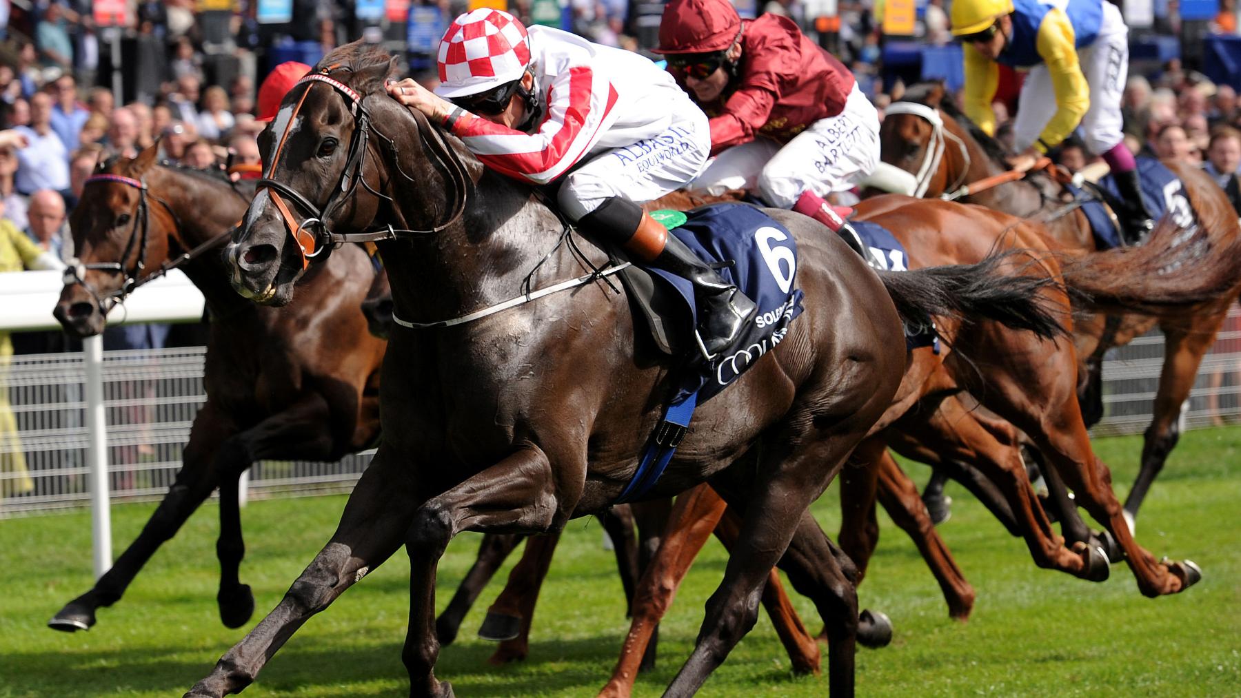 Dan Briden Two-Year-Old Guide: Eve Johnson Houghton